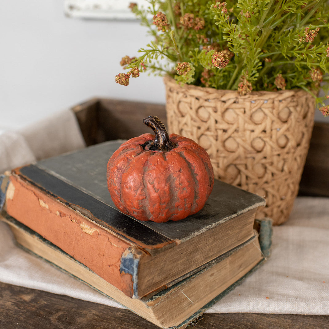 Fall Pumpkins and Gourds – The Tin Bin