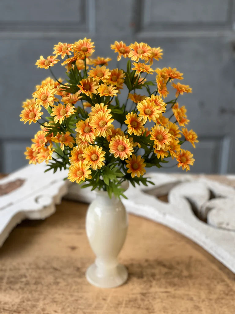 Curtsy Daisy Bush | 16" | Marigold – The Tin Bin