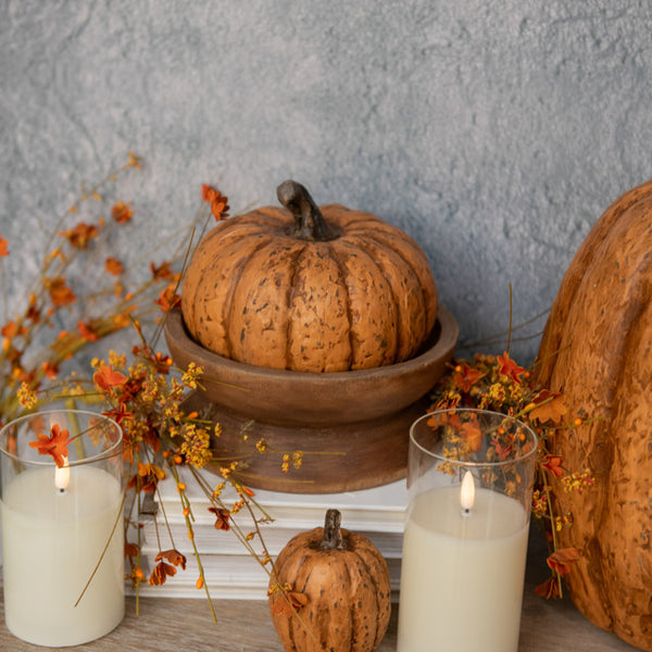 Terracotta Short Pumpkin – The Tin Bin
